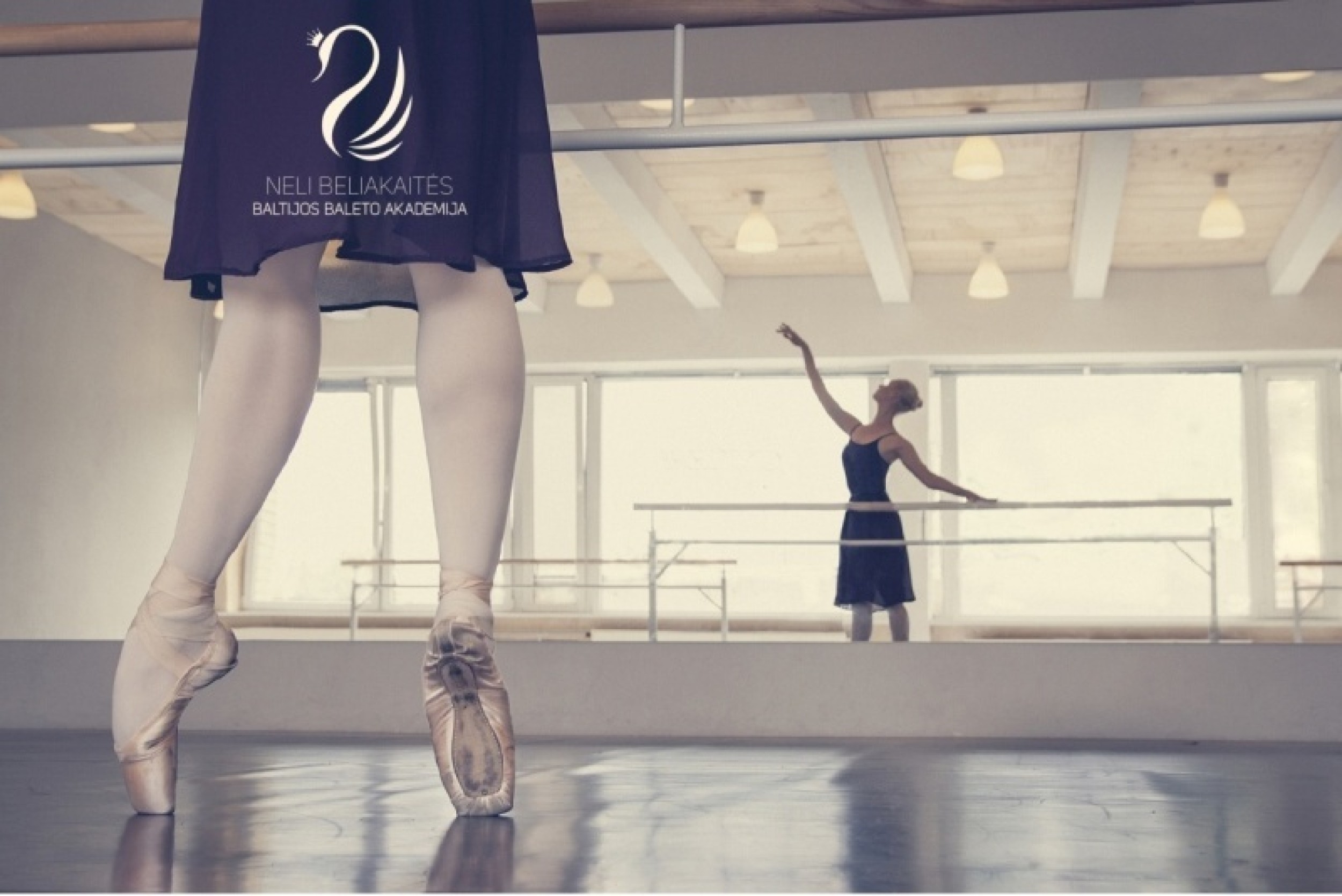 Baleto pamoka suaugusiam grupėje |Laisvalaikio Dovanos